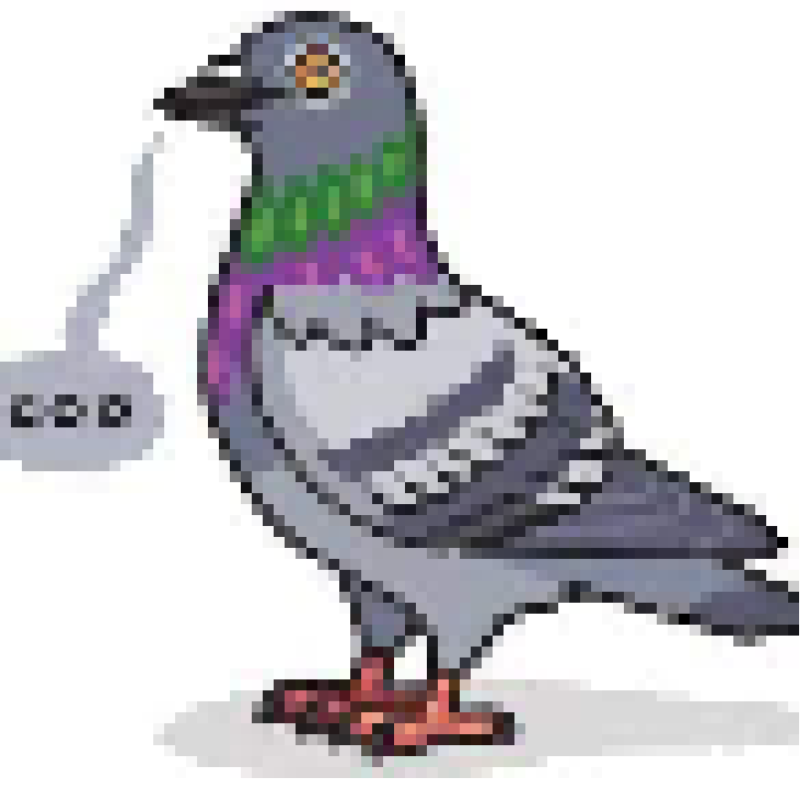 Guys look its New York Times pigeon | Pixel Art Maker